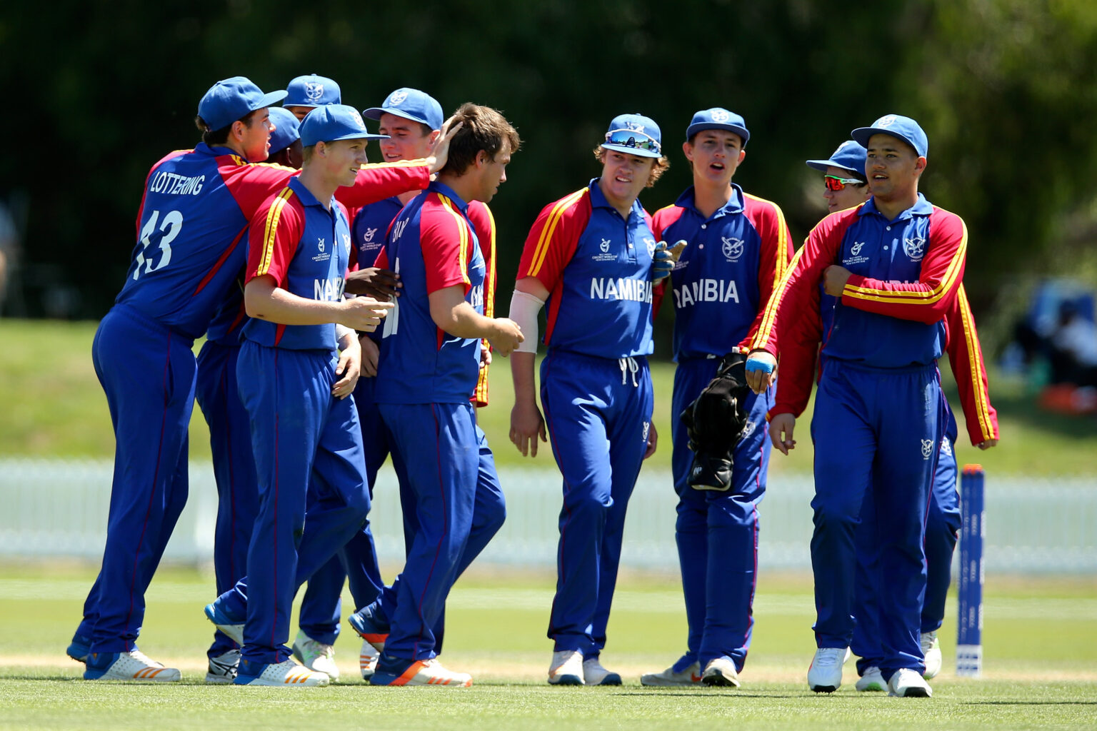 Namibia's Squad For T20 World Cup 2021 Announced, David Wiese Included