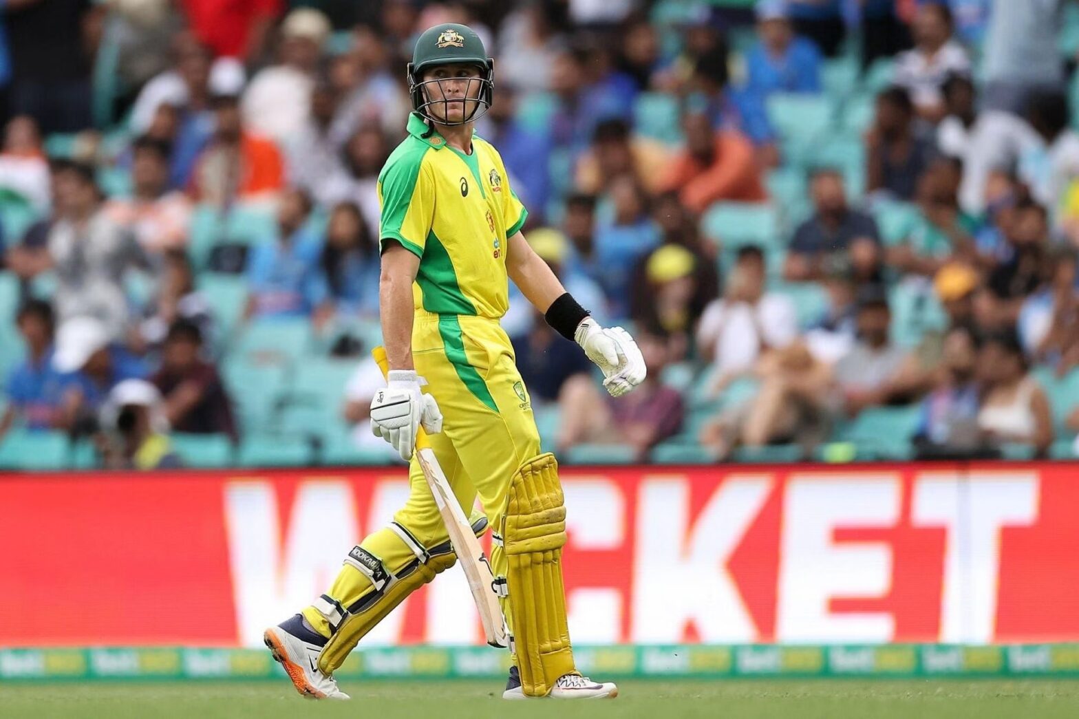 ICC World Cup 2023: "We Haven't Seen Enough Of..." - George Bailey On ...